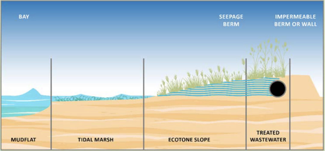 Half a Dozen Horizontal Levees in the Works – KneeDeep Times