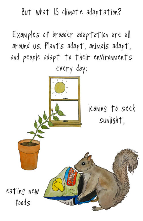 Climate Adaptation: The Basics – KneeDeep Times