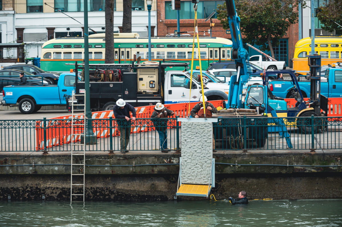 Could Textured Tiles Bring SF Seawall to Life? – KneeDeep Times