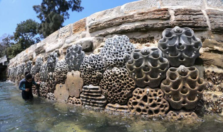 Could Textured Tiles Bring SF Seawall to Life? – KneeDeep Times