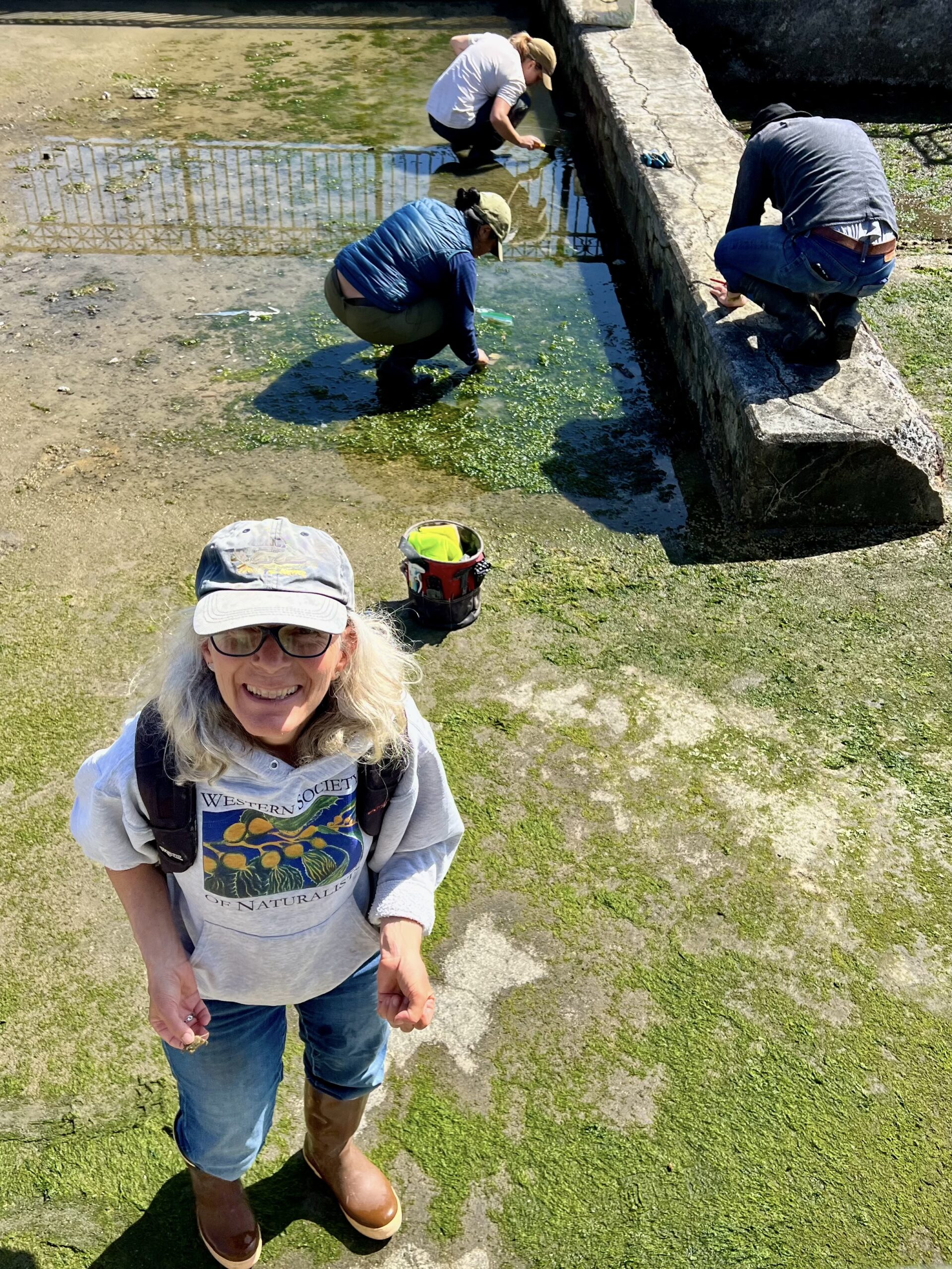 Could Textured Tiles Bring SF Seawall to Life? – KneeDeep Times