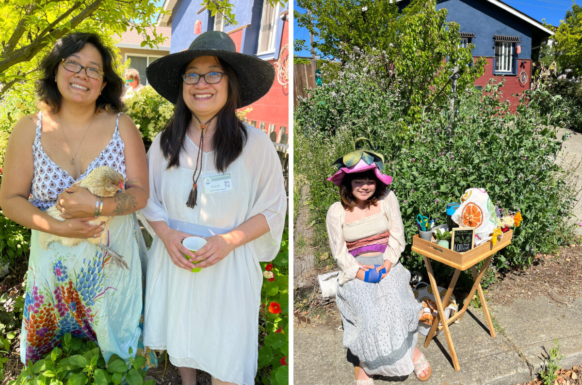 Food Forests Green Solano – KneeDeep Times