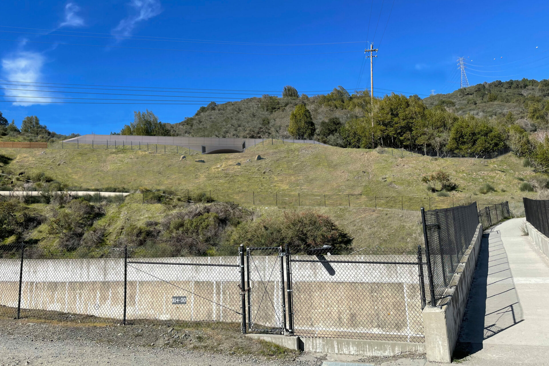 New Wildlife Bridges Help Critters Cross the Road – KneeDeep Times
