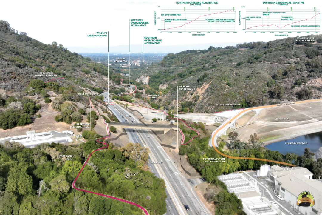 New Wildlife Bridges Help Critters Cross the Road – KneeDeep Times