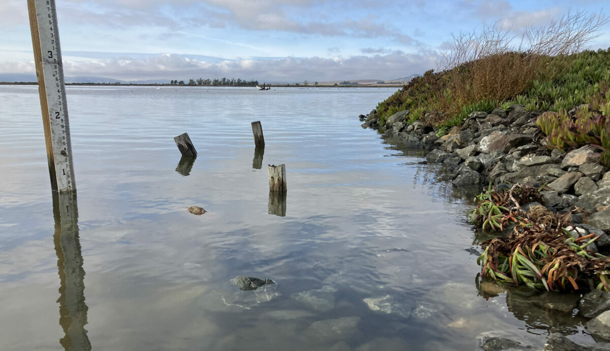 No Resident is an Island: Rising Flood Risk on Napa's Milton Road