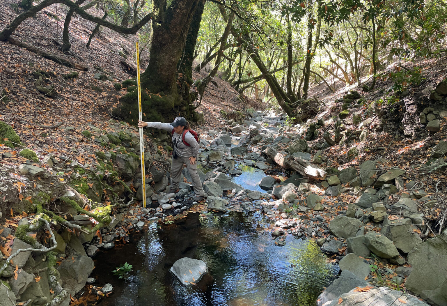 KNEE DEEP TIMES: How two rivers could rescue sinking beaches and ...