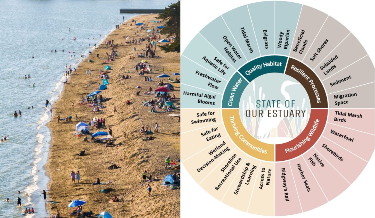 Health Report for SF Estuary Shows Mixed Results