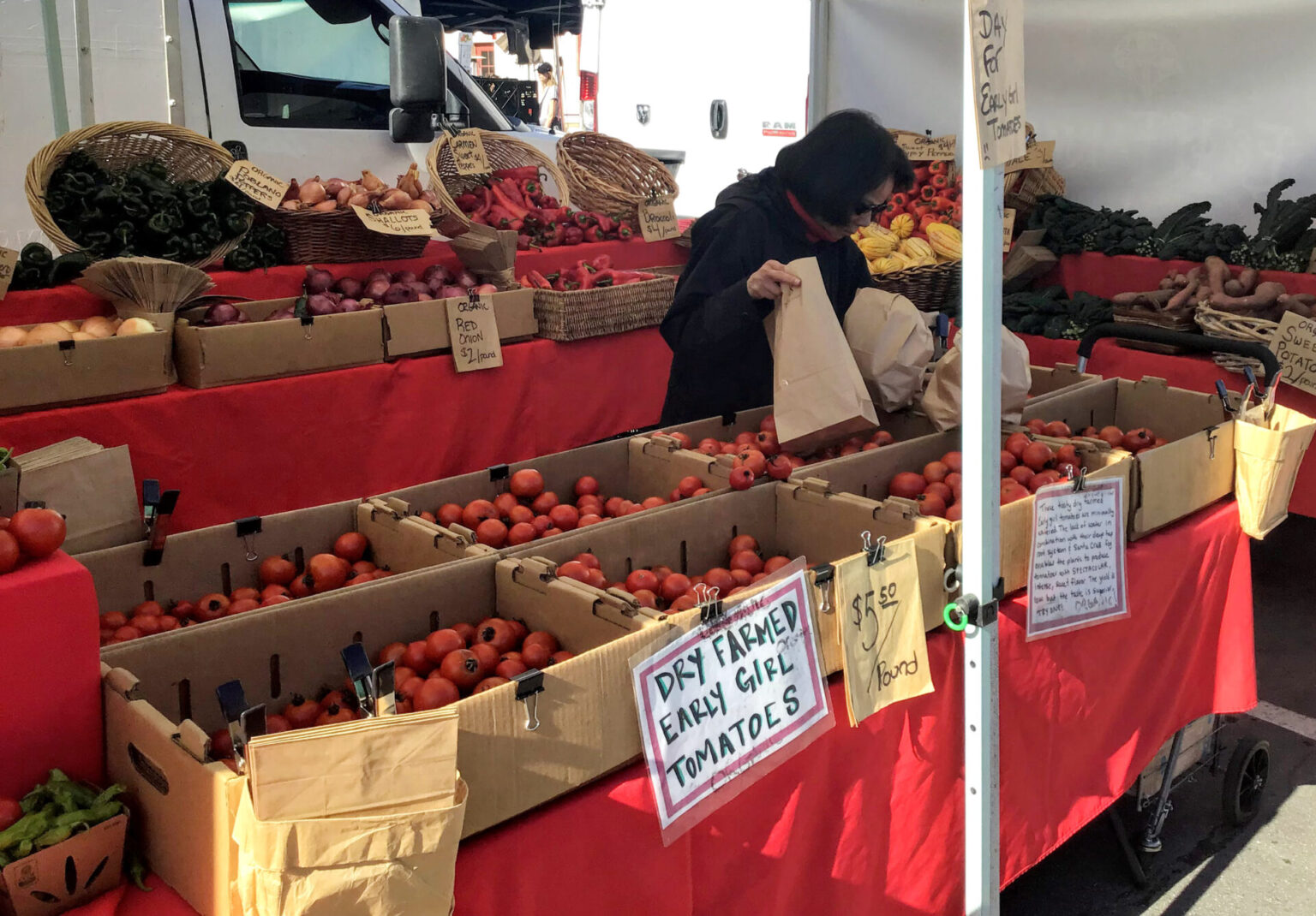 KNEE DEEP TIMES: Growing better tomatoes with less water ~ MAVEN'S ...